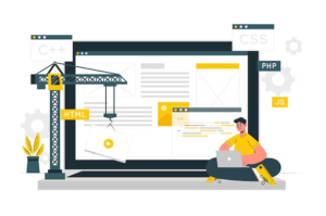 Customized Website Development Service Provider - DIIPL